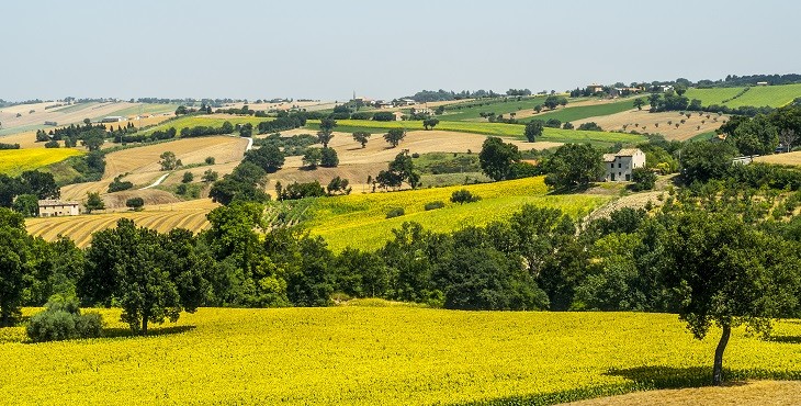 Marche - Viva Italia